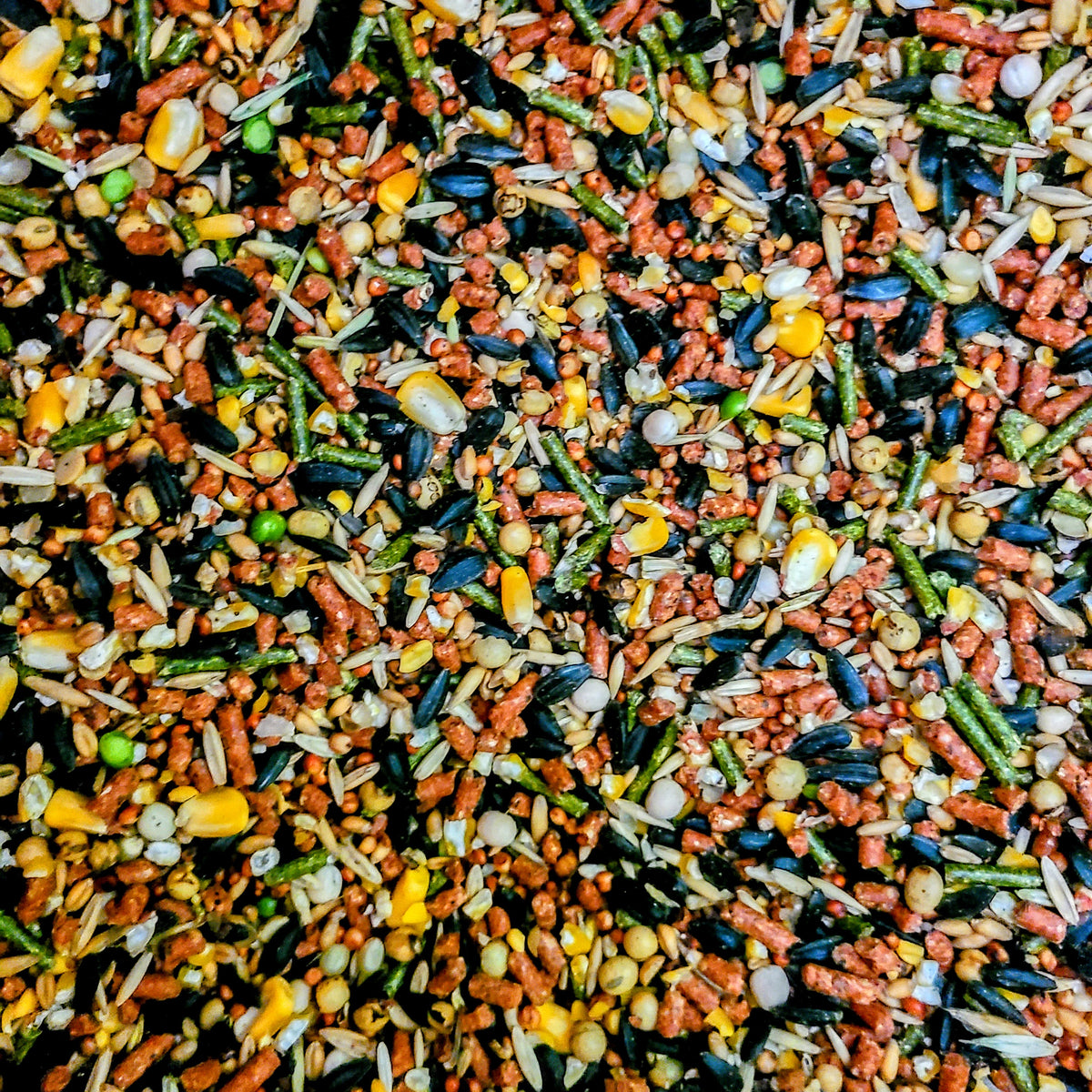 Gamecock Conditioner O'Neals – O'NEAL'S FARM AND GARDEN