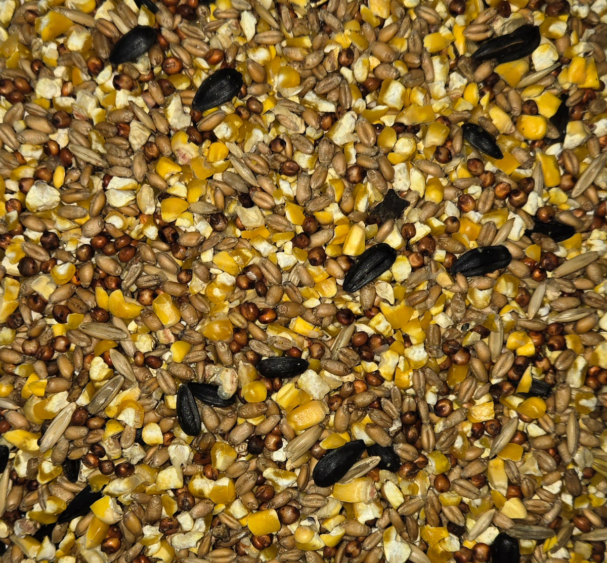 Hen Scratch 5 Way 50# – O'NEAL'S FARM AND GARDEN